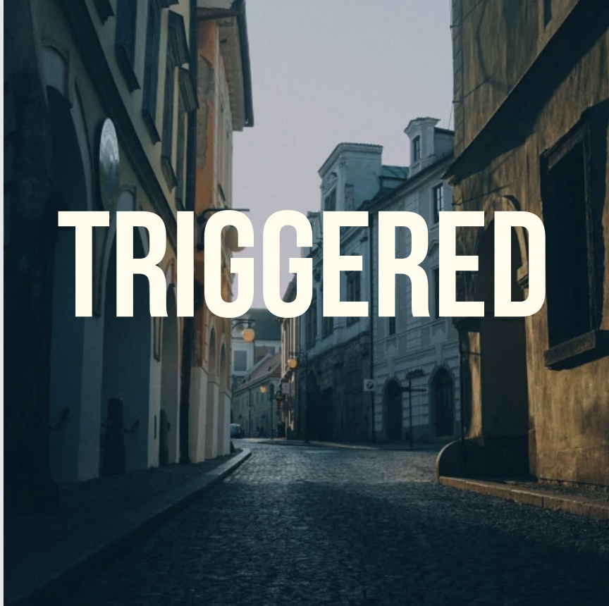 Triggered – Vision Fyah